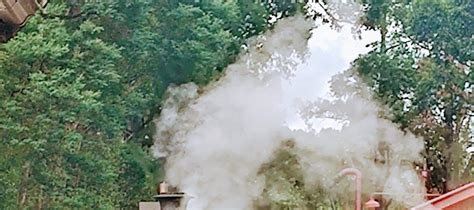 Puffing Billy And Moonlit Sanctuary Day Tour Klook Singapore