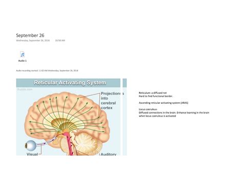 Lecture Notes 5 Warning Tt Undefined Function 32 Audio 1 Audio