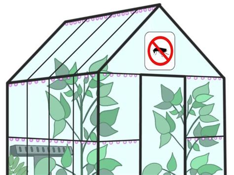 Rate Of Photosynthesis Lesson Gcse Biology Teaching Resources