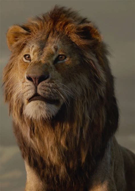 Fan Casting Abby Ryder Fortson As Young Vitani In The Lion King 2 Simba