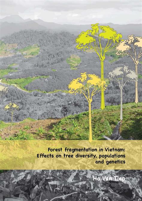 Forest Fragmentation In Vietnam Effects On Tree Diversity Populations And Genetics