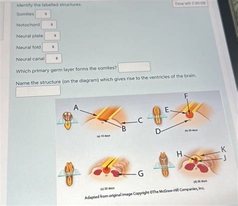 Identify The Labelled Structures Time Left StudyX