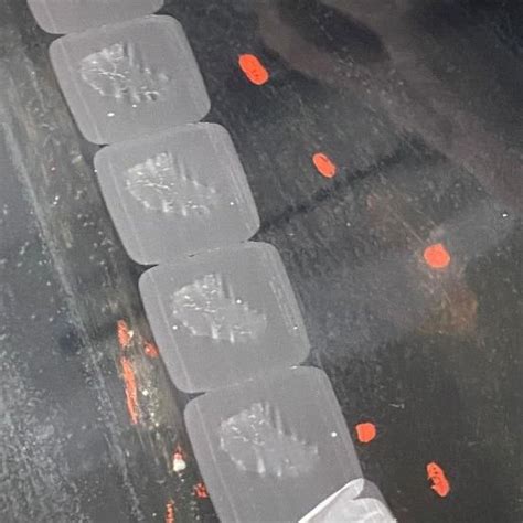 Tissue Sectioning And Paraffin Ribbon Formation Download Scientific Diagram