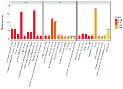 Chart Summarizing The Results Of Gene Ontology Go Enrichment Analysis