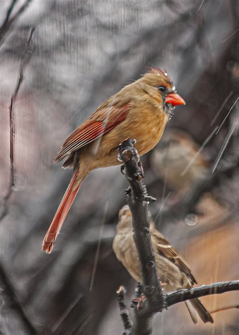 MG 6724a By FRSam VIEWBUG