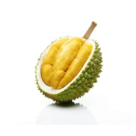 Isi Durian Musang King Super A Premium Frozen Box Dusun ExoThick