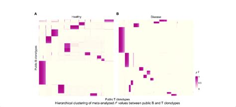 hierarchically clustered heatmap of correlations between public b and t