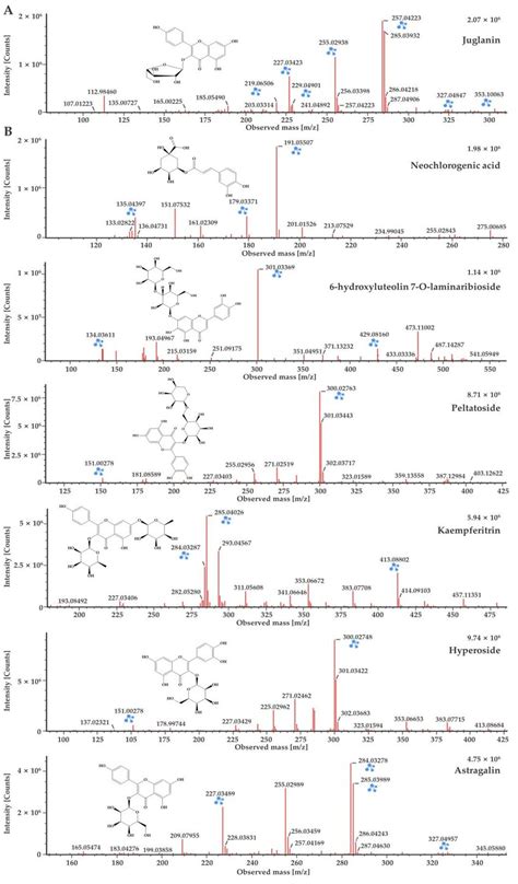Uplc Qtof Ms Analysis Of The Major Components In Terms Of Matching