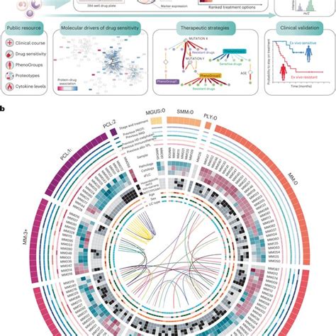 Workflow And Cohort Details For The Integrative Functional Molecular