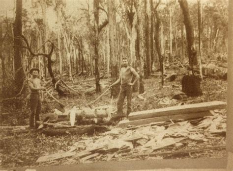 The Unforgotten Photo Of Ned Kelly Ned Kelly The True Story