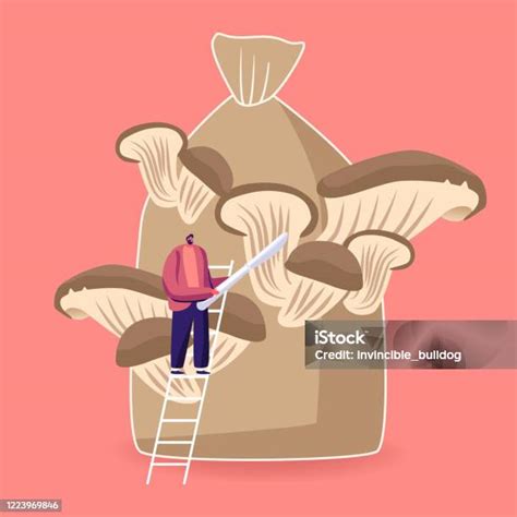 손에 칼을 들고 사다리에 서있는 작은 남성 캐릭터는 거대한 자루에서 자라는 잘 익은 버섯을 자르기 위해 준비합니다 왕 굴 버섯