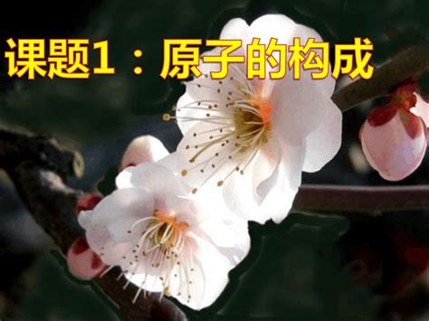课题1：《原子的构成》课件word文档在线阅读与下载无忧文档