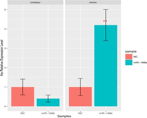 MicroRNA B Inhibits Late Apoptosis Of Pancreatic Cancer Cells By Targeting CADM Abstract