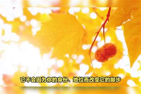 正能量朋友圈，高质量句子！