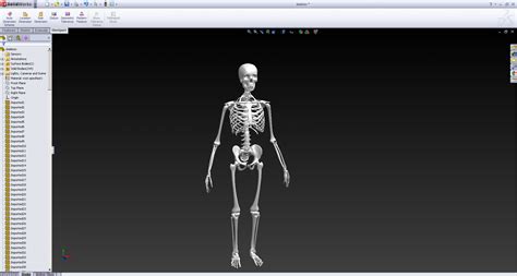 3d 3dm solidworks skeleton
