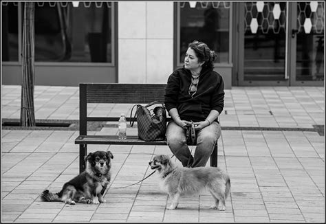 Fgp4771 Laurent Branger Flickr