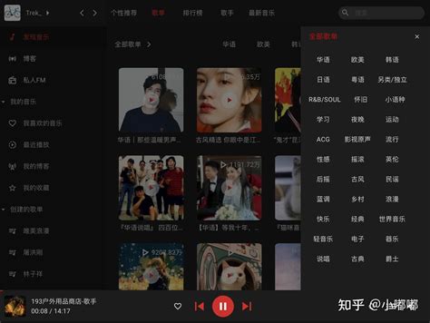 发现一个听音乐的浏览器插件 网易云 知乎
