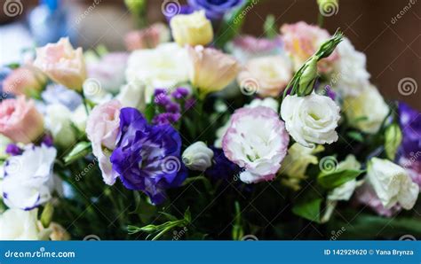 Very Delicate Bouquet Of Colorful Eustomas Pink Purple White Eustoma