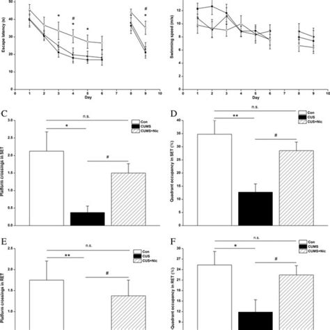 The Hippocampal Trisynaptic Circuit Based On Extensive Anatomical And Download Scientific