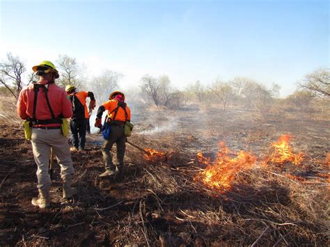 Controlan Y Liquidan Incendio Forestal En Quiriego Seguridad