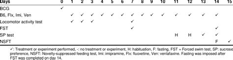 Research Protocol Timeline Indicating The Timing Of Bcg Inoculation