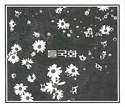 중고 들국화 들국화 2CD 알라딘