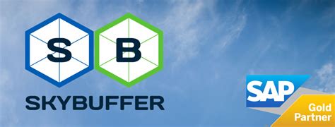 brandfetch skybuffer logos and brand assets