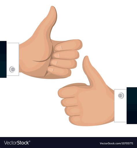 Thumb Up Hand Isolated
