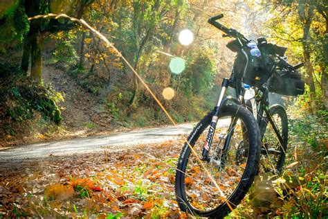 Cycling Trek Forest · Free photo on Pixabay