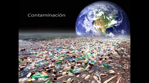 La Perdida De La Biodiversidad YouTube