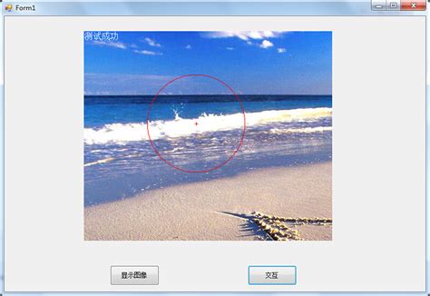Halcon C 使用picturebox显示halcon图像 Csdn社区
