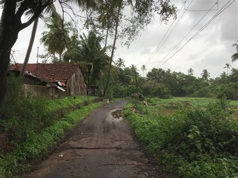 Top Monsoon Destinations Of India