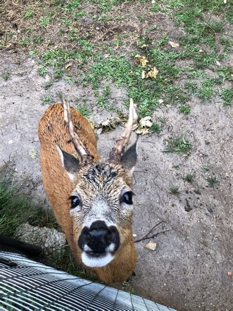 She S So Damn Cute🥹🥹 Oc Raww