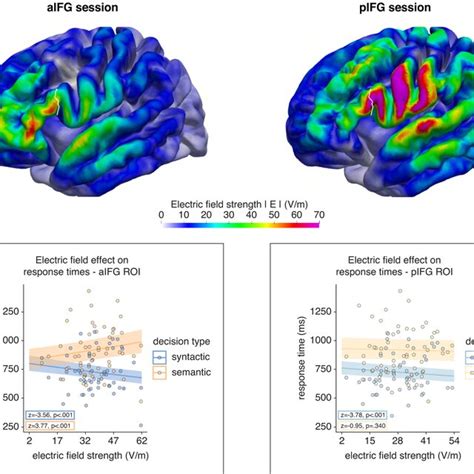 Electric Field Simulations Revealed Differential Effects Of Anterior Download Scientific