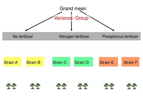 Ppt Fixed Random Mixed Model Anovas Factorial Vs Nested Designs