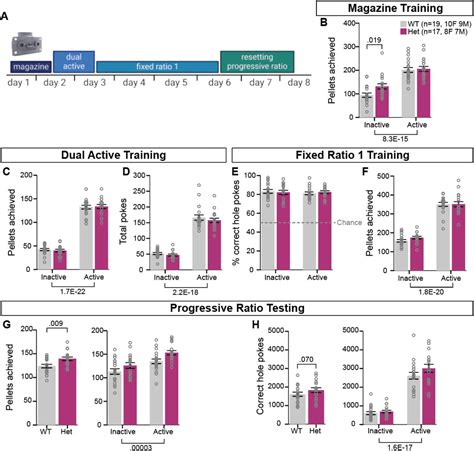 A Survey Of Hypothalamic Phenotypes Identifies Molecular And Behavioral