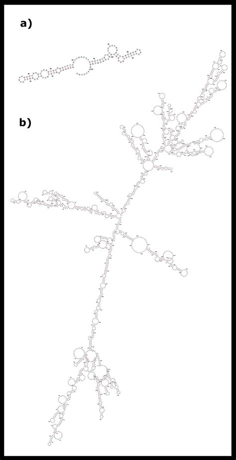 The Optimal Secondary Structure Of A Satcho1 And B Satcho2