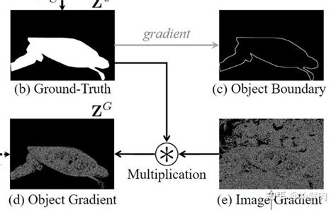 【dgnet】deep Gradient Learning For Efficient Camouflaged Object