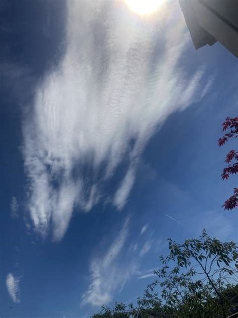 Brian Brian X Onlyfans