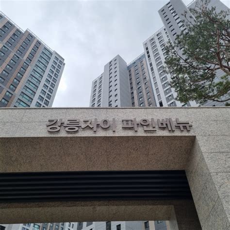강릉 자이 아파트 파인베뉴 무펄 조색 줄눈 시공 일기 네이버 블로그