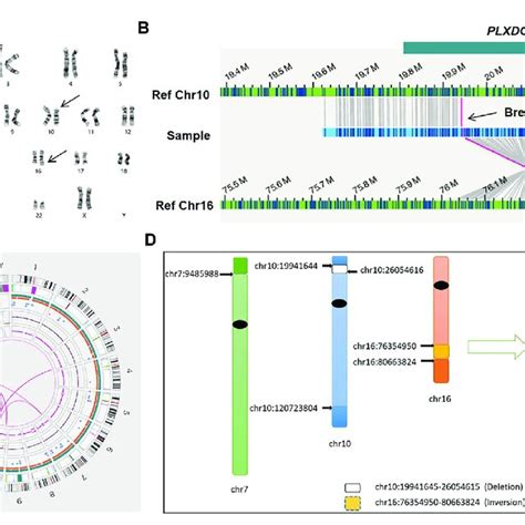 Genome Wide Visualization Of Ogm Data And An Example Of Ccr Sample