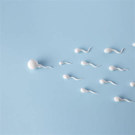 10 Ways To Boost Male Fertility And Increase Sperm Count