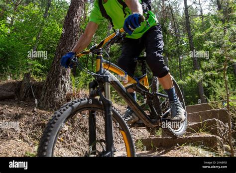 Mountain Biker In The Palatinate Forest Riding A Difficult Single Trail