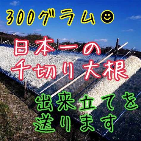 エリー様 専用 千切り大根 切り干し大根 大根 乾物 300グラム 宮崎産｜paypayフリマ