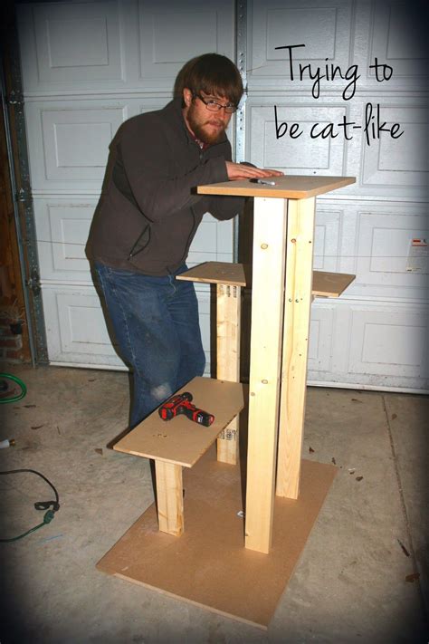 Pin On Cat Trees