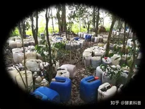 【环保酵素救地球】探寻“酵”主 知乎