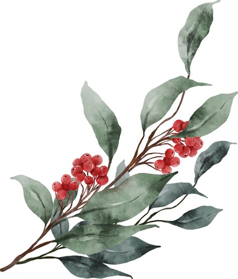 Watercolor Christmas Leaves And Holly 14401400 Png