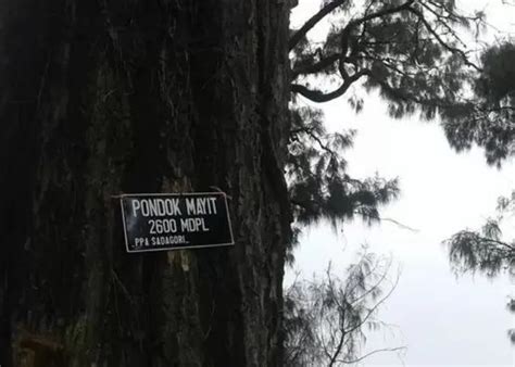 Misteri Dan Jejak Sejarah Yang Terukir Di Pondok Mayit Gunung Raung