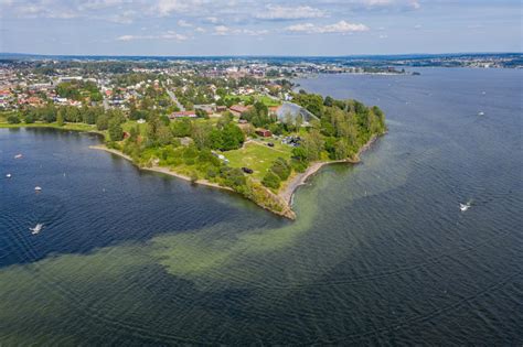Algene I Mjøsa Er Ikke Tige Vassdragsforbundet No