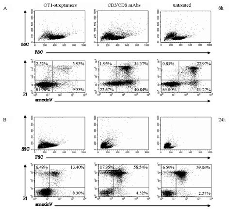 Tcr Triggering With Soluble Cd3 Cd8 Mabs Induces Apoptosis Cd8 T